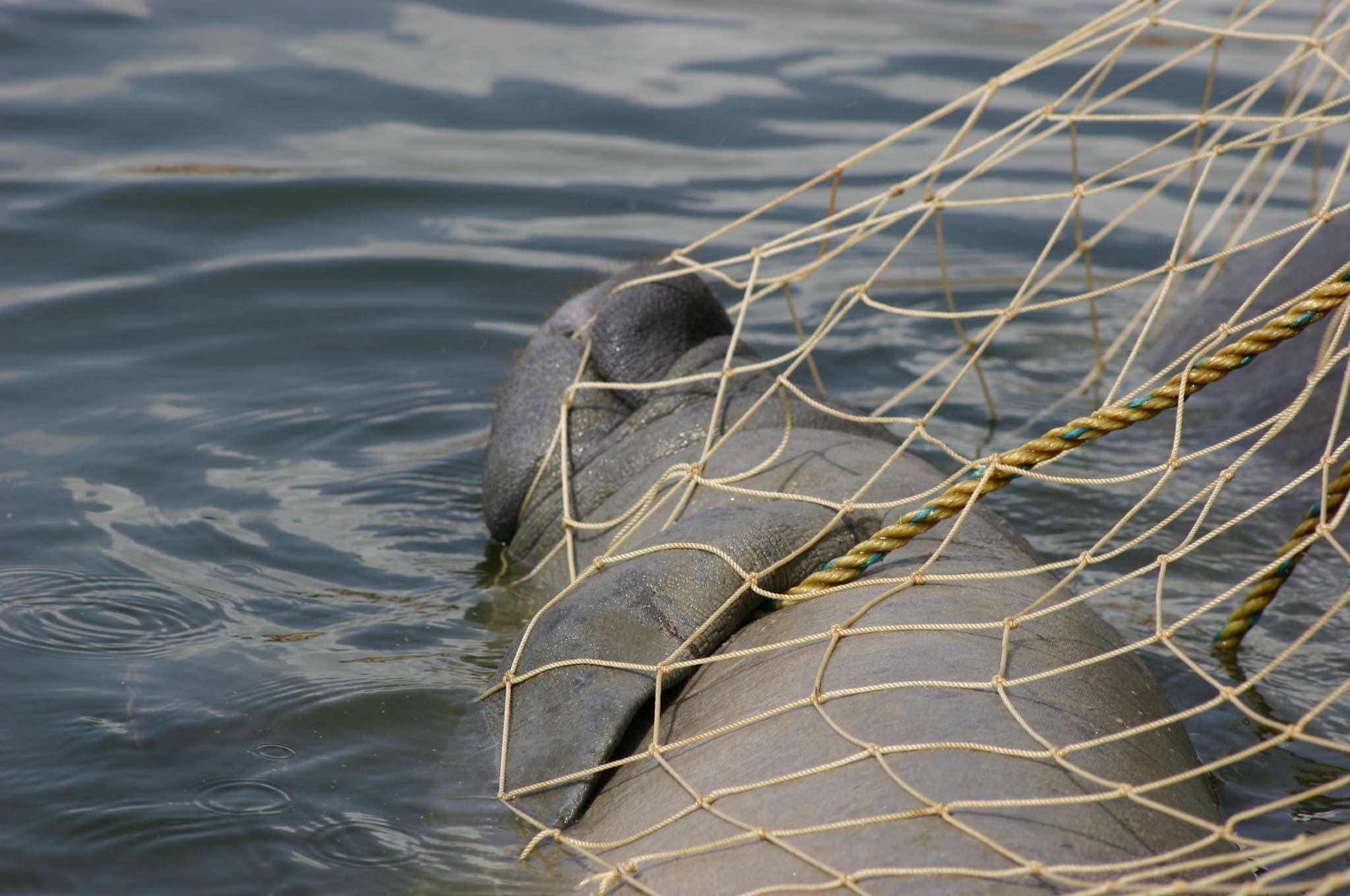 Laguna de las Ilusiones - Tabasco